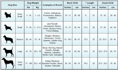 Dog Crate Sizes For Pet Parents - Life With My Dogs