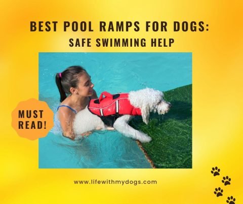 Best Pool Ramps for Dogs: Safe Swimming Help - Life With My Dogs