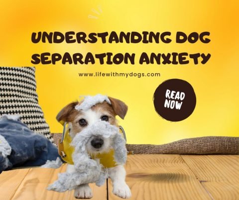 Understanding Dog Separation Anxiety - Life With My Dogs