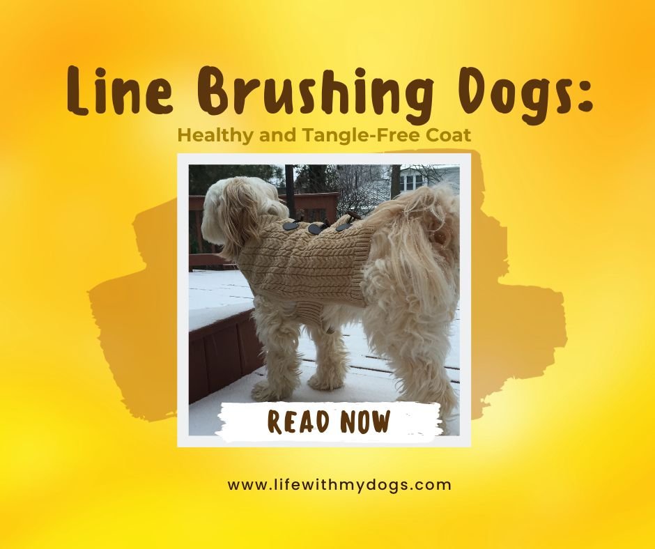 Line Brushing Dogs: Healthy and Tangle-Free Coat - Life With My Dogs
