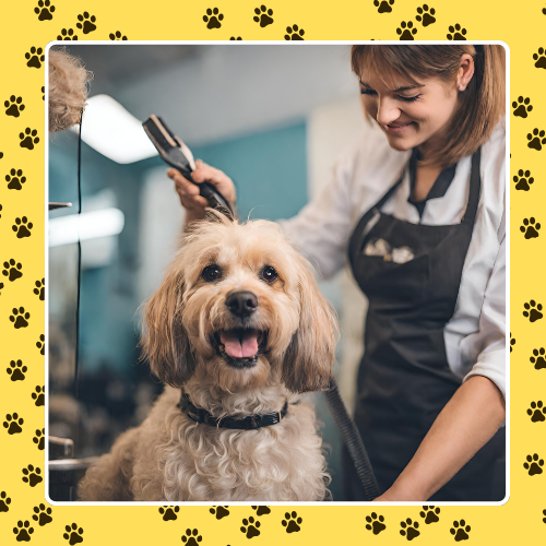 Guide to Sanitary Trims for Dogs - Life With My Dogs