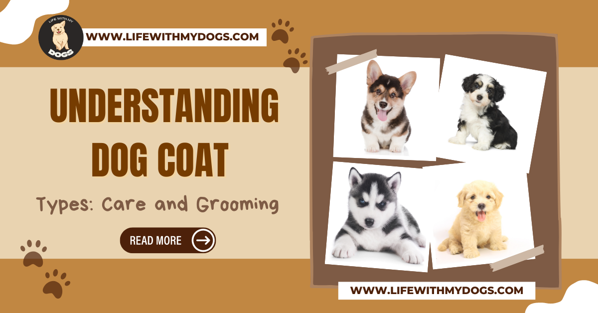 Understanding Dog Coat Types: Care and Grooming - Life With My Dogs