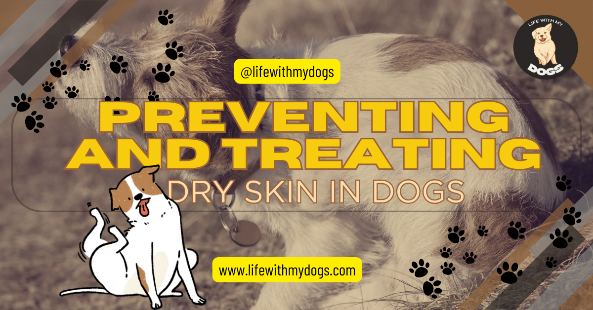 Preventing And Treating Dry Skin In Dogs - Life With My Dogs