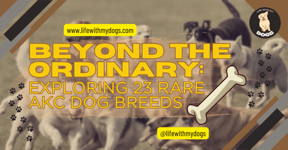 Beyond the Ordinary: Exploring 23 Rare AKC Dog Breeds - Life With My Dogs