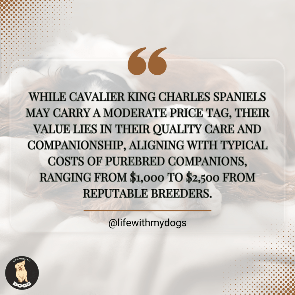 Facts About Cavalier King Charles Spaniels - Life With My Dogs