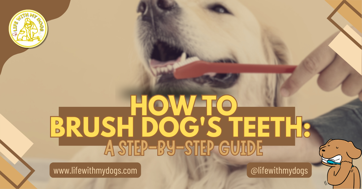 How to Brush Dog's Teeth: A Step-by-Step Guide - Life With My Dogs