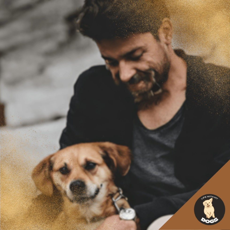 How Do I Clean Dog Drool From My Dog's Coat? - Life With My Dogs