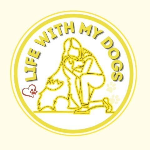 Is It Playful or Aggressive? Recognizing Different Dog Play Styles ...