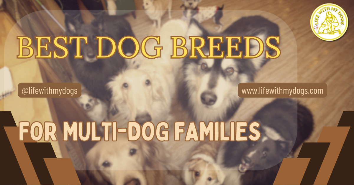Best Dog Breeds for Multi-Dog Families - Life With My Dogs
