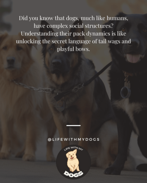 Understanding Pack Dynamics: Dog Social Structure - Life With My Dogs