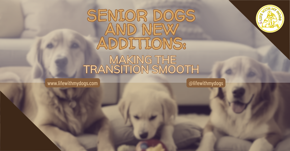 Senior Dogs And New Additions: Making The Transition Smooth - Life With ...