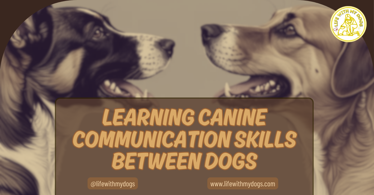 Learning Canine Communication Skills Between Dogs - Life With My Dogs