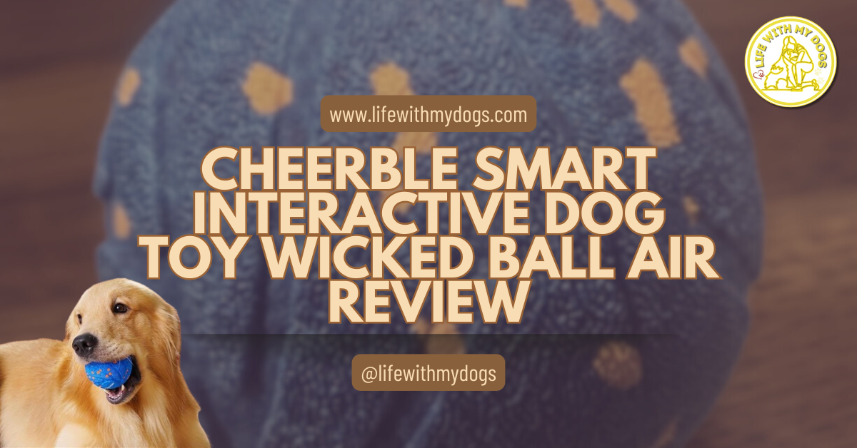 Cheerble Smart Interactive Dog Toy Wicked Ball AIR Review - Life With ...