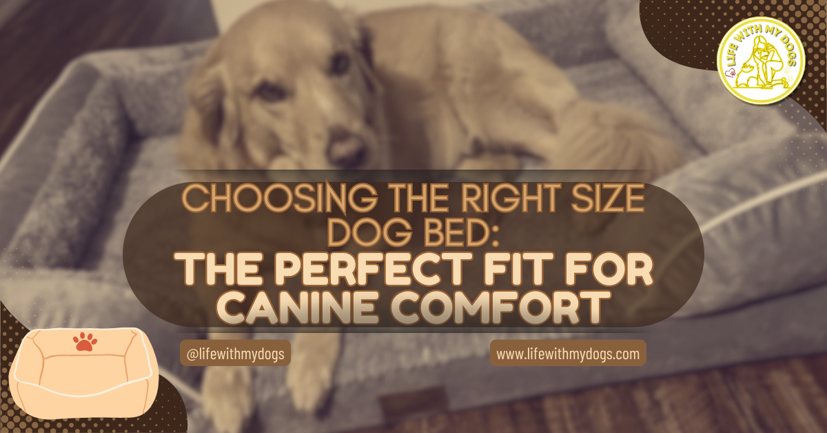 Choosing the Right Size Dog Bed: The Perfect Fit for Canine Comfort ...